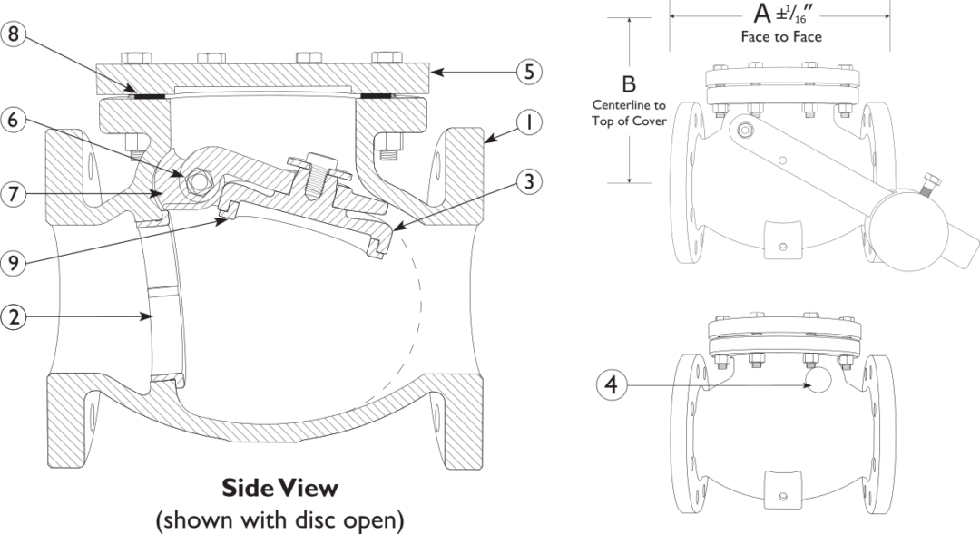 Flanged End CI Class 125 Swing Check Valve Series CV31F - Accurate ...