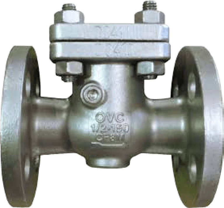 Cast Stainless Steel 150 Swing Check Valve Series - SS150CK - Accurate ...
